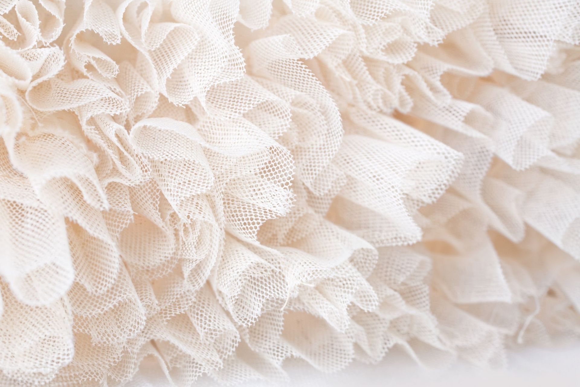 Orlando Ballet | Appleton Creative